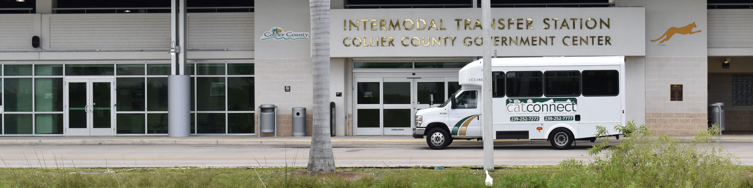How can I use CATConnect Collier County Paratransit Bus Services