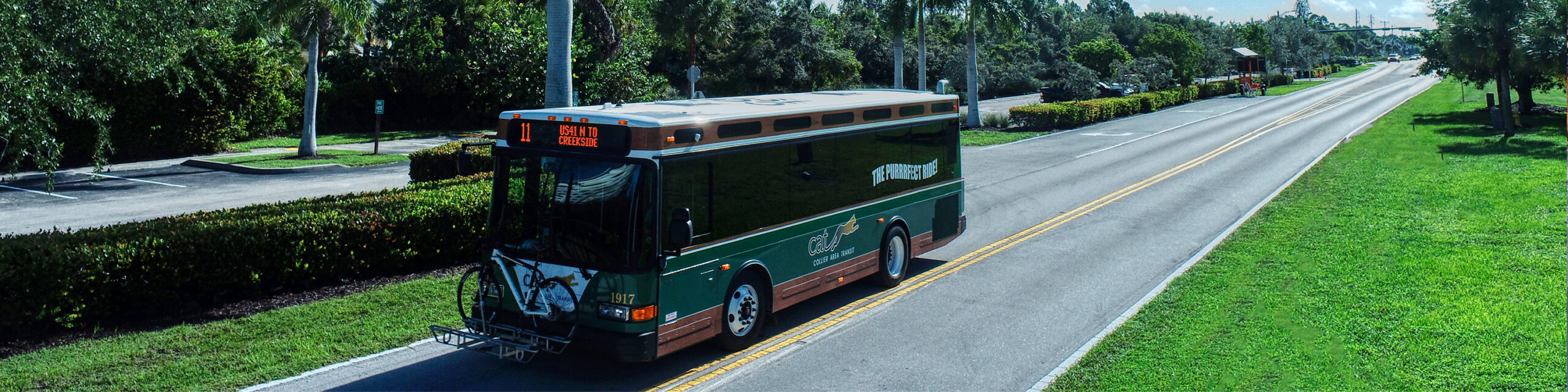 Collier Area Transit, CAT, CATConnect, Paratransit Advertising Information