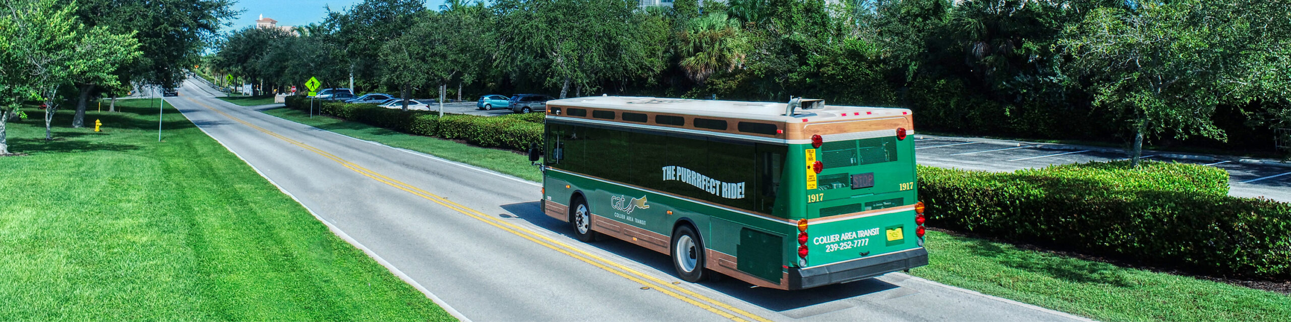 Naples Collier Area Transit and Paratransit Frequently Asked Questions